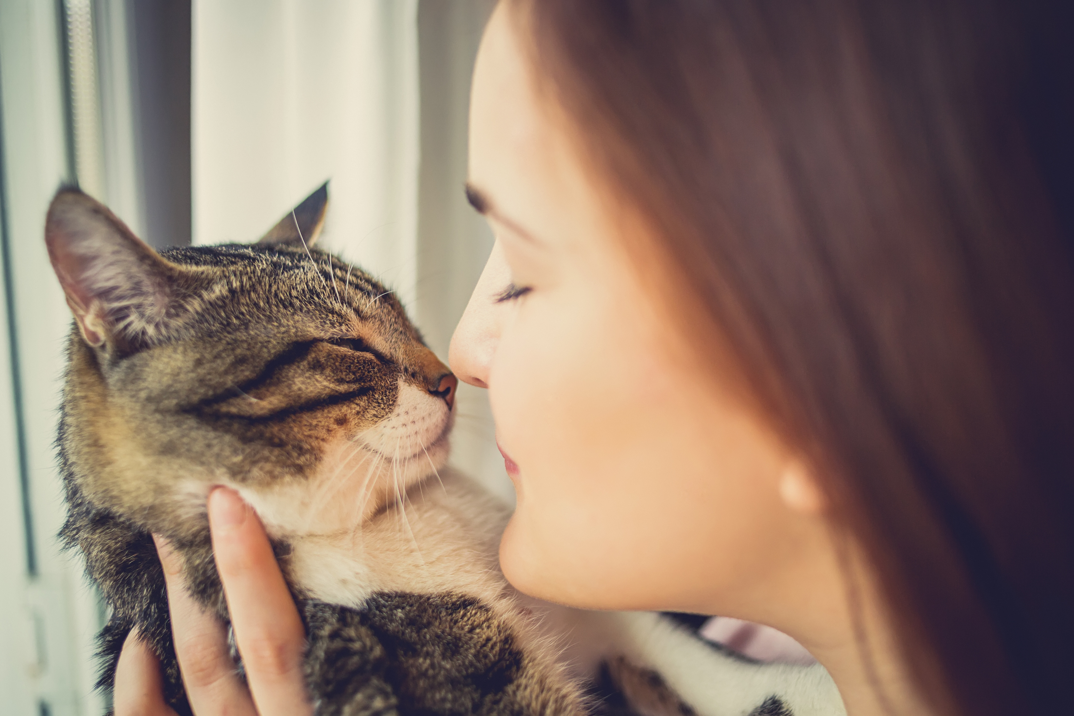 Why cats are good for our health | zooplus Magazine IE
